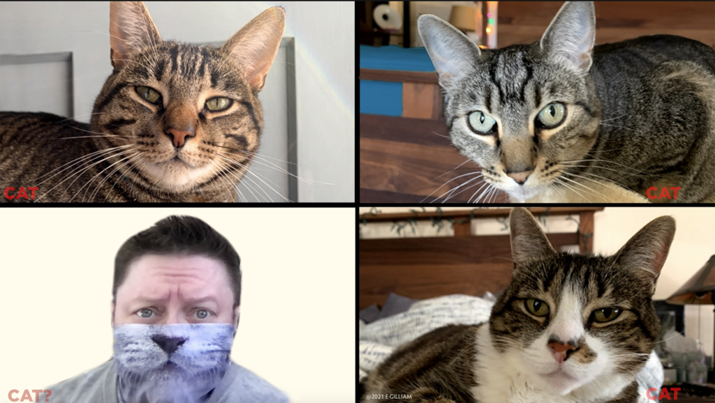 I'm here live, and I'm not a cat - Conference Call Fun